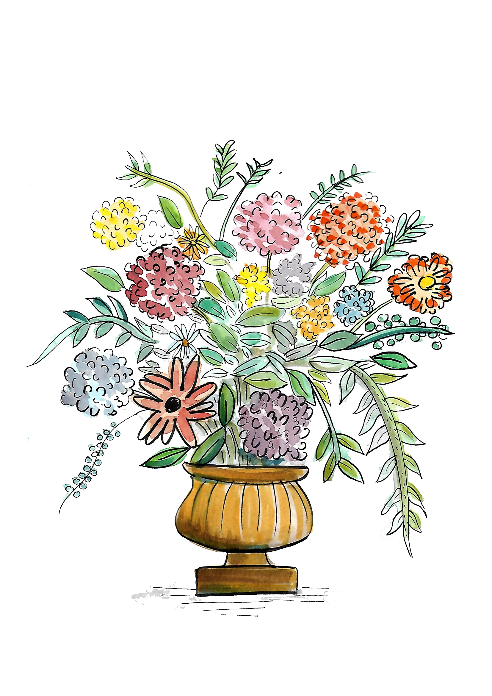 María Serrano Illustration